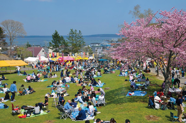 2025GWにも 北海道の桜お花見スポット17選 一度は見たい絶景多数 | いこーよとりっぷ