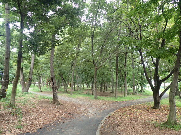 山梨県森林公園 金川の森 豊かな自然が広がる森林公園で 一日たっぷりと遊ぼう！ 山梨県笛吹市 いこーよとりっぷ