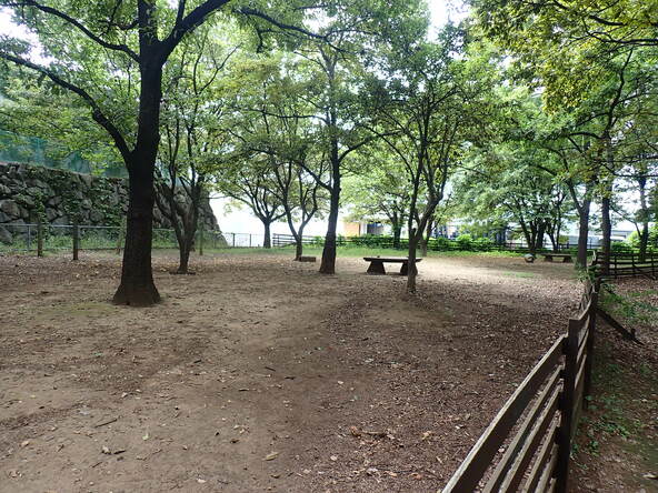 山梨県森林公園 金川の森 豊かな自然が広がる森林公園で 一日たっぷりと遊ぼう！ 山梨県笛吹市 いこーよとりっぷ